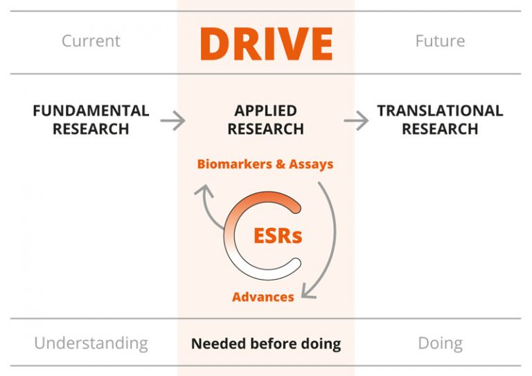 DRIVE | Driving next generation autophagy researchers towards translation